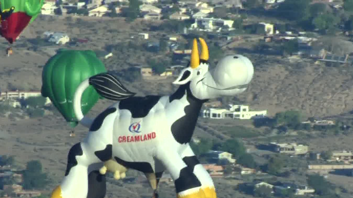 Airabellel the Creamland cow makes flight during day two of Balloon Fiesta