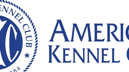 Looking ahead to the AKC's National Championship held in Florida