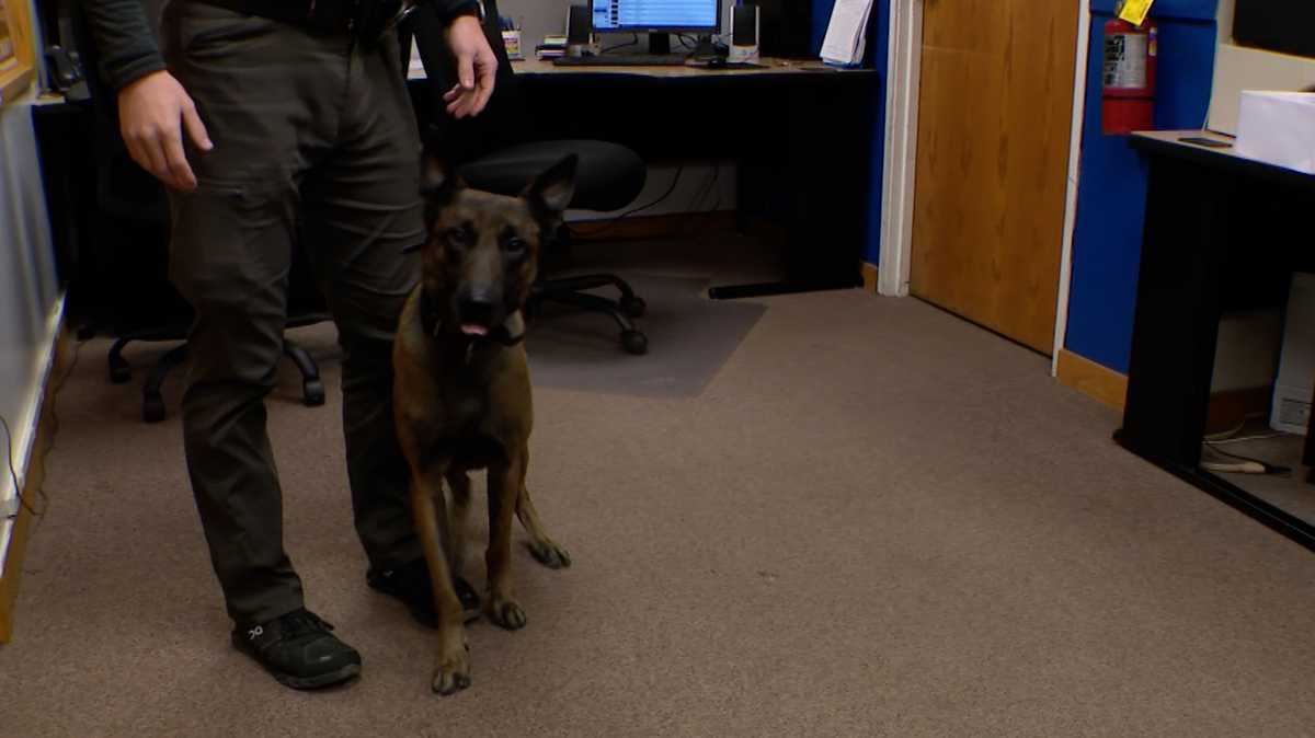 Ashland police deploy K-9 donated by Throw Away Dogs project