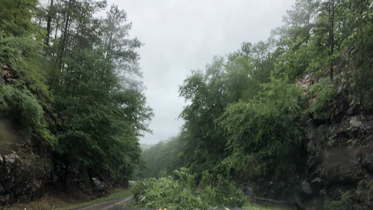 PHOTOS: Alberto knocks down trees in Alabama