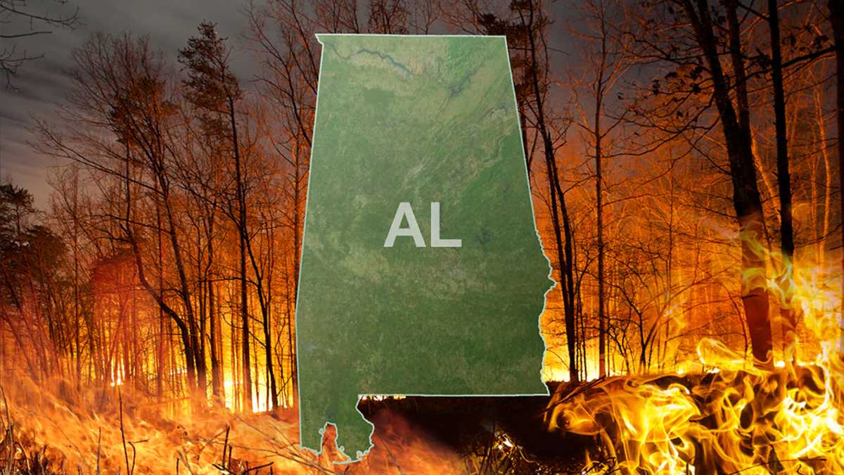 Busy day for firefighters with wildfires in central Alabama