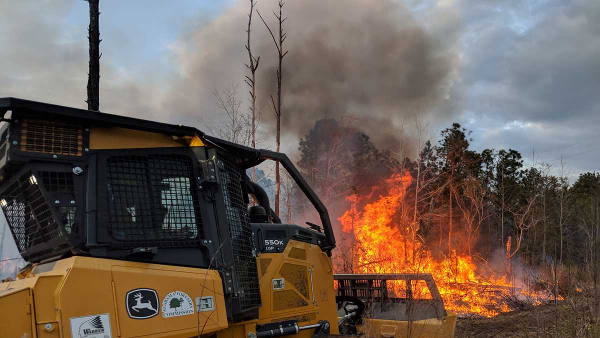 Alabama wildfires have burned over 2,600 acres over past week