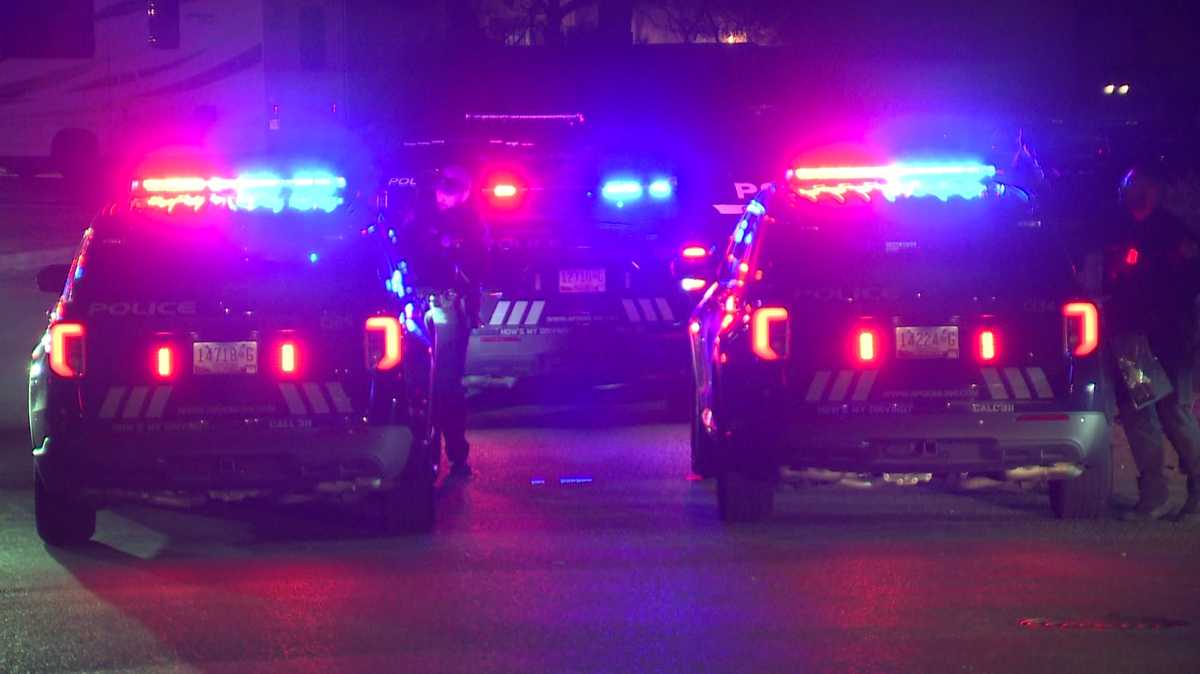 Arrest after Albuquerque police vehicles damaged