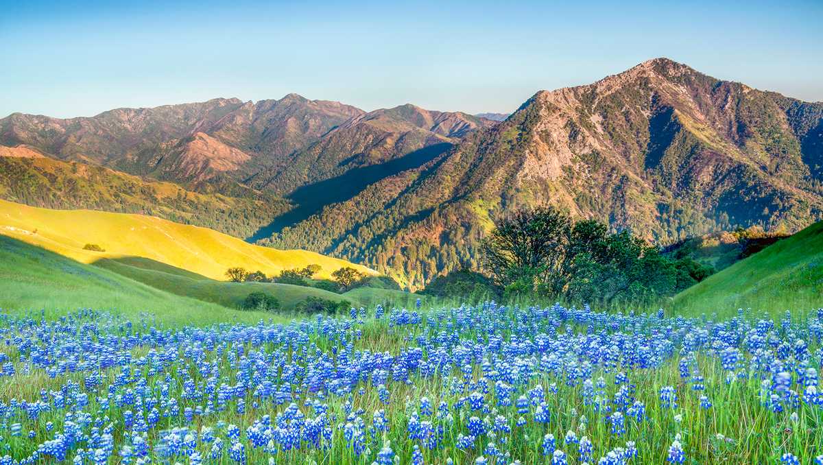 California Native American tribe gets back Big Sur ancestral lands