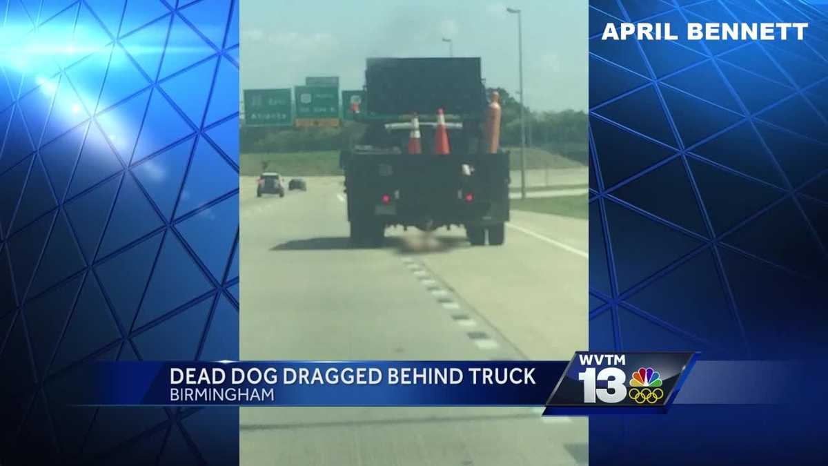 Driver captures images of dead dog being dragged by ALDOT truck