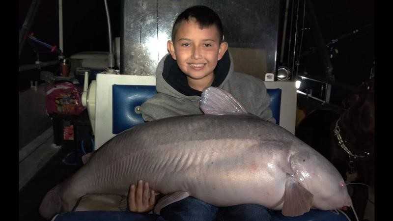 9-year-old lands 42-pound catfish at Elephant Butte