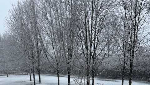 PHOTOS: Heavy snow falls across Greater Cincinnati