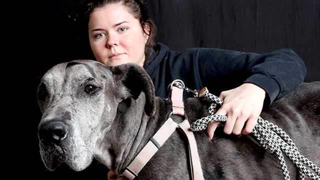 Dog shot twice in Louisiana is now recovering in Vicksburg