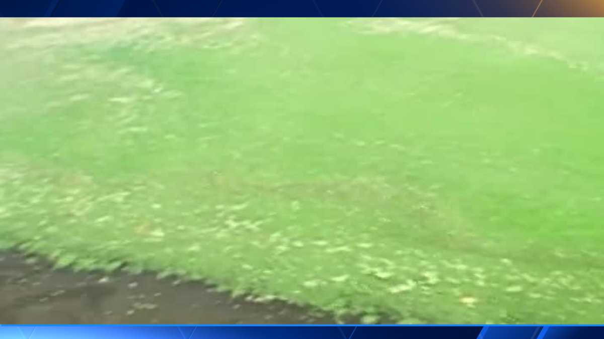 Aerial view of algae in Lake Okeechobee