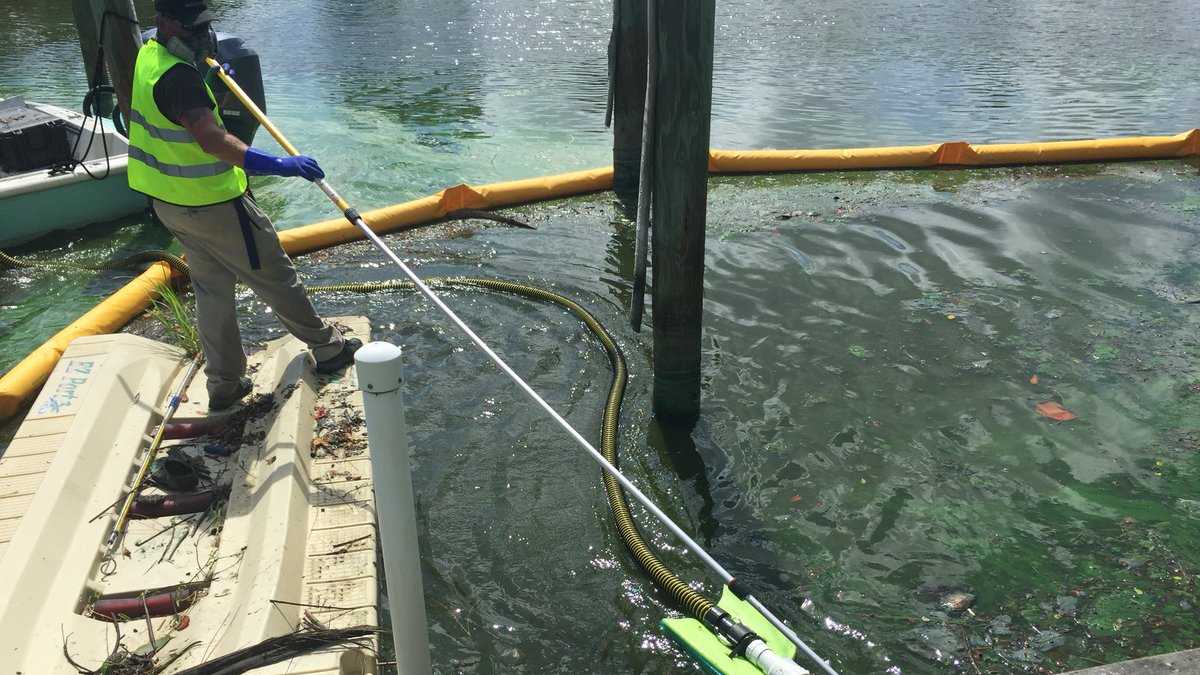 Blue-green algae removal underway in Martin County