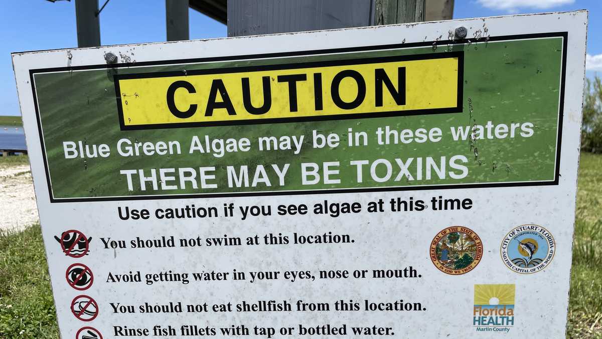 Toxic algae blooms reported in Florida