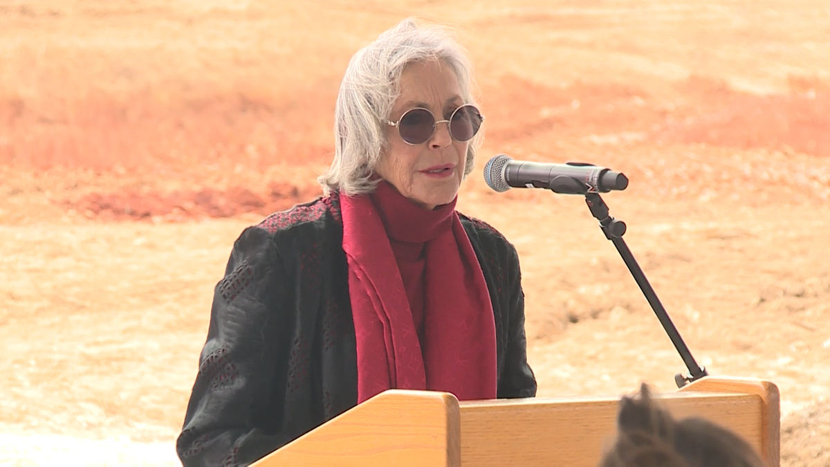 Walmart heiress Alice Walton building new medical school