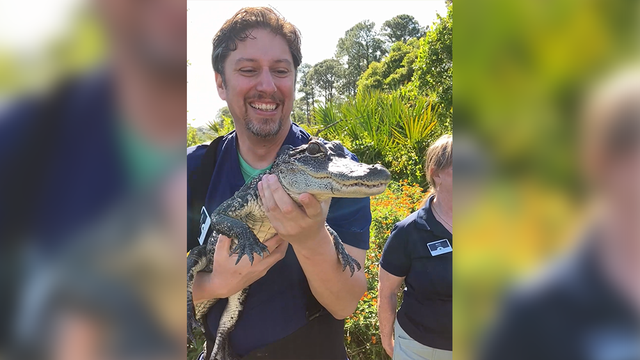 Graham Cawthon - Journalist Profile - Intelligent Relations