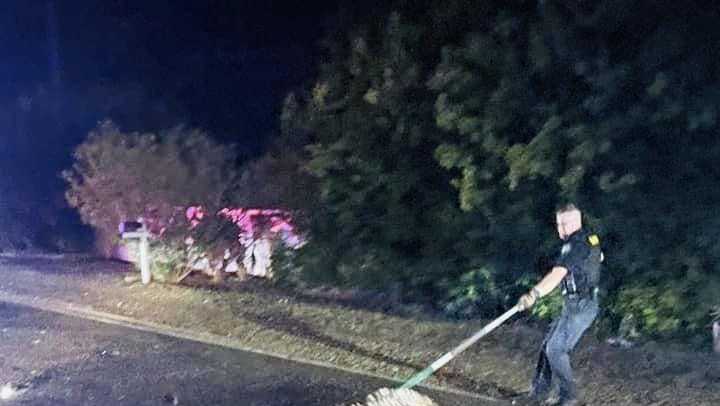 Louisiana Slidell alligator captured dog catcher pole