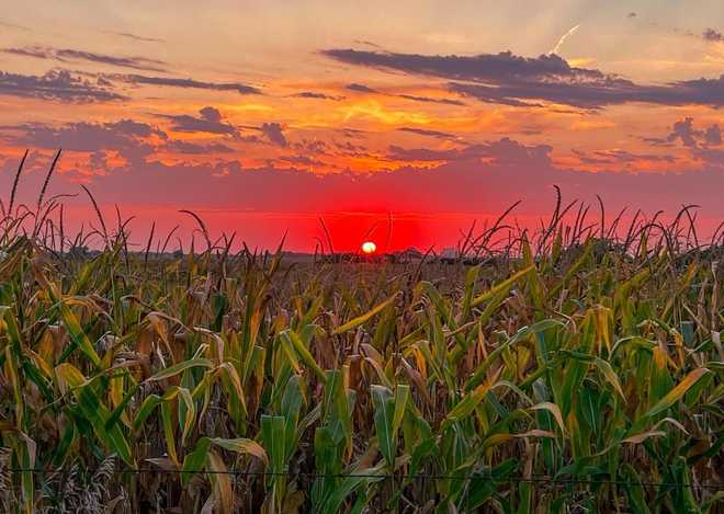 Take a moment to appreciate this gorgeous Iowa sunset
