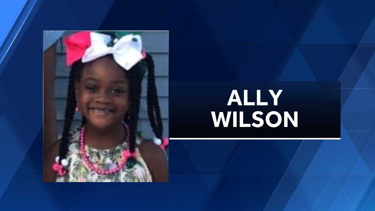 New Orleans Belle Chasse Ally Wilson search Mississippi River