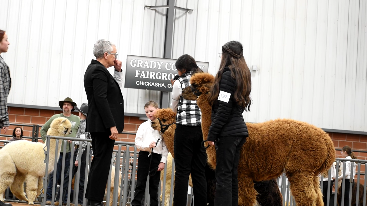 The 2025 National Alpaca Show is here in Oklahoma!