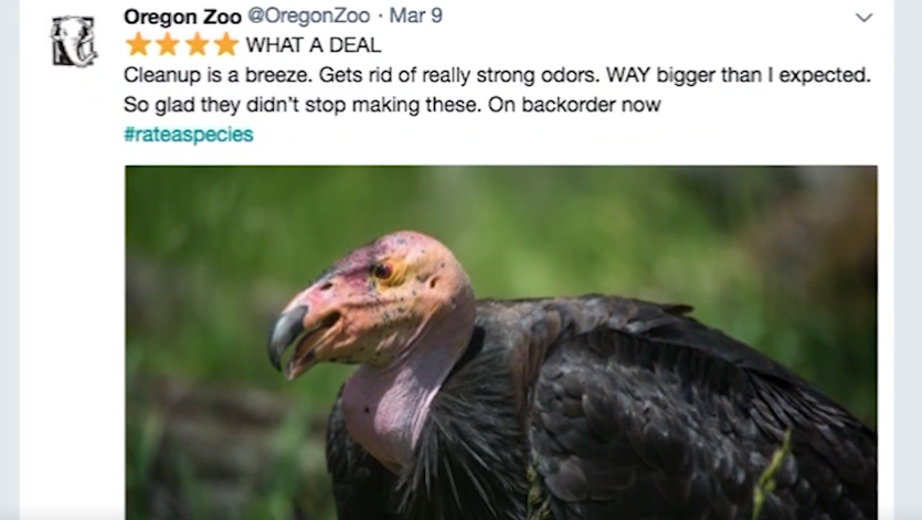 5 stars, would recommend: Zoos rate animals mimicking Amazon reviews