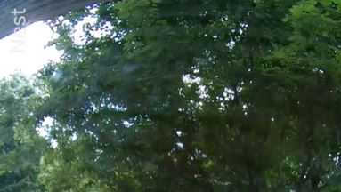 VIDEO: Amazon delivery driver seen taking package off porch