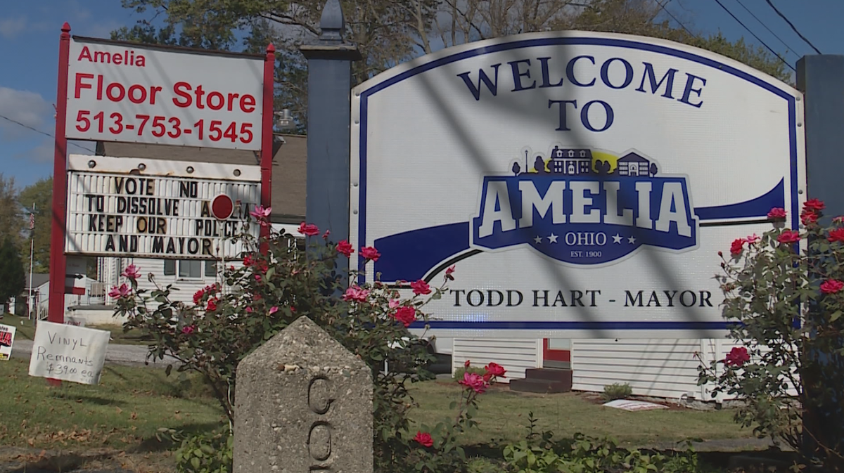 Voters in Amelia to decide if they should get rid of their local government