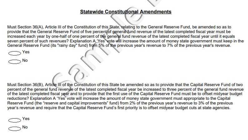 South Carolina: Explanation of amendment on the ballot