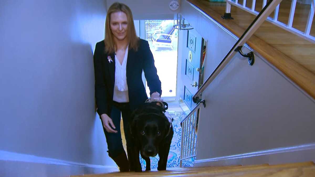 Navy veteran shares how service dog has changed life completely