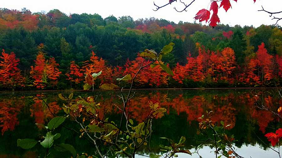 Proof that New Hampshire has the best foliage in the country right now