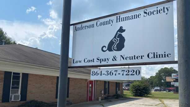 Anderson County investigating animal clinic, director says more vets needed