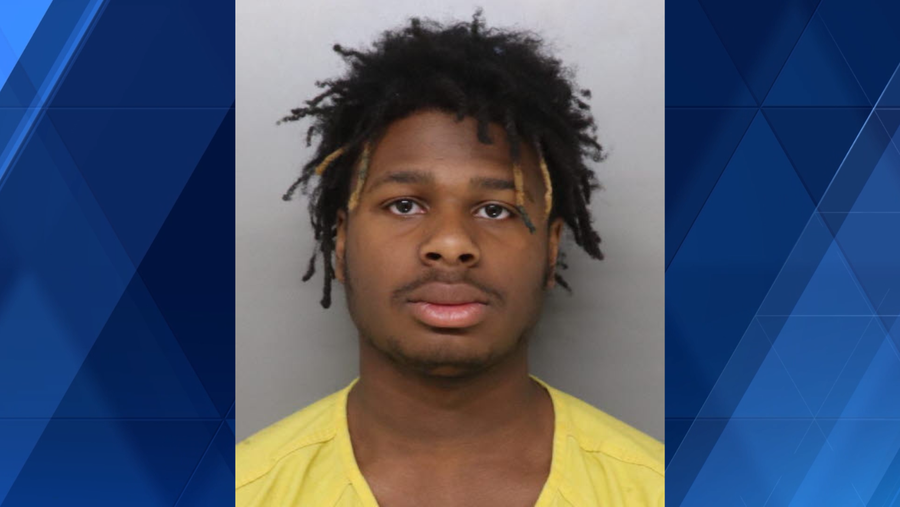 Court docs: Man charged with arson, burglary after allegedly setting ...