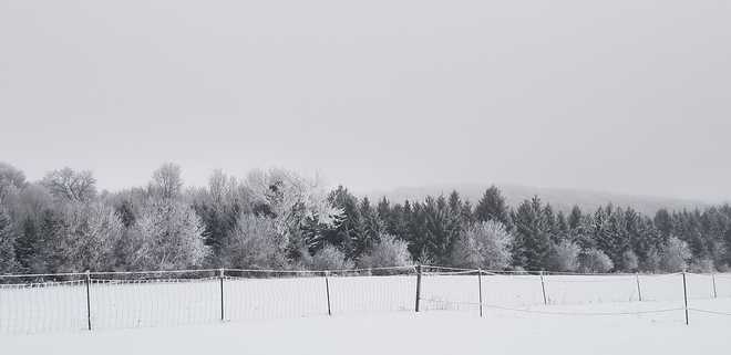 Rime ice, freezing fog decorate southeast Wisconsin