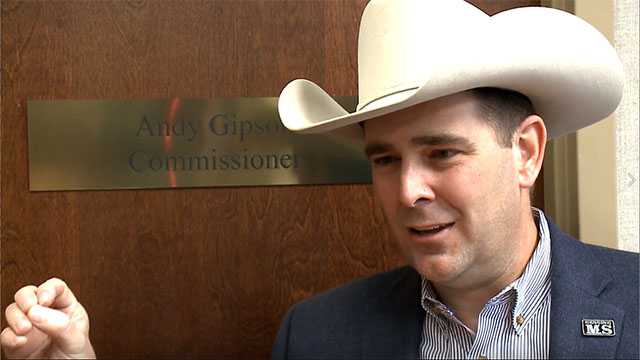 Gipson wins full term as ag commissioner