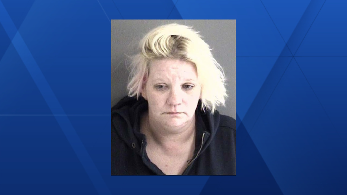 Iowa woman submitted fraudulent auto insurance application