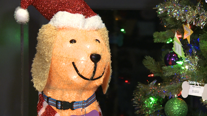 Angel Trees in Louisville helping no-kill shelters save dogs, cats
