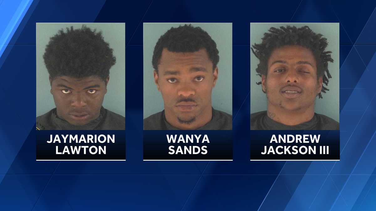 3 men, including teen, arrested for animal abuse after video shows acid ...