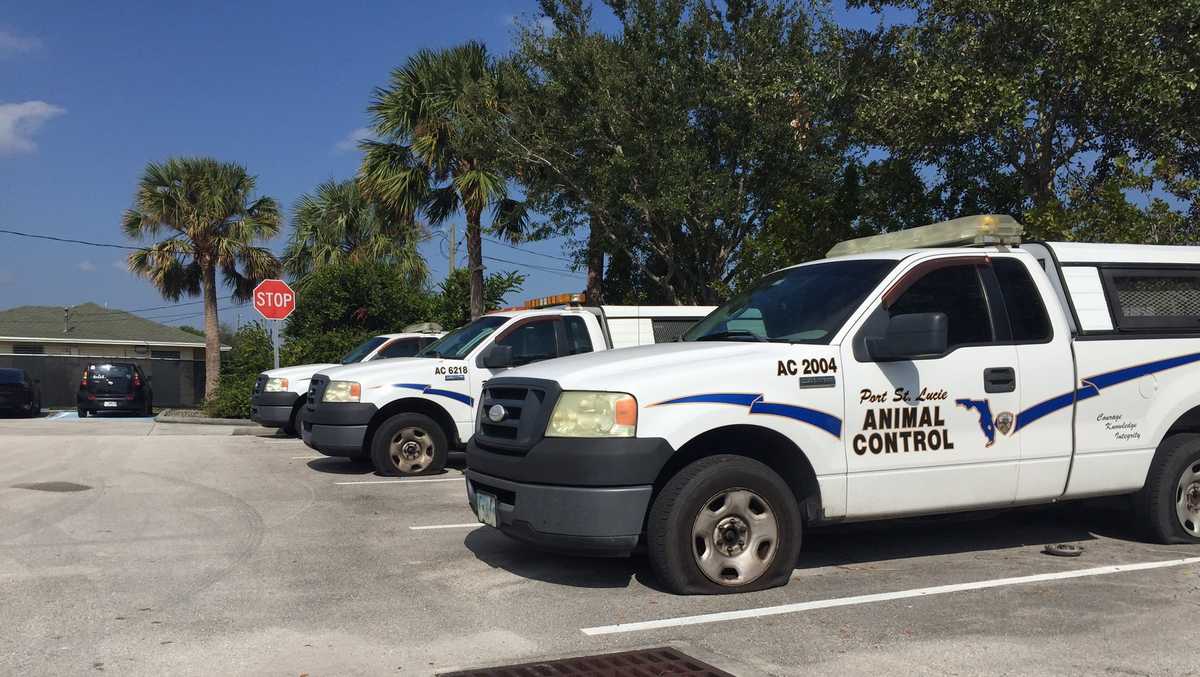 Vandals target animal control vehicles