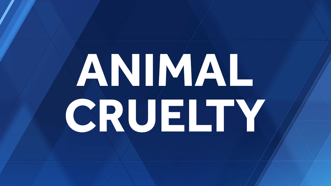 Lancaster County man charged with aggravated cruelty to animals