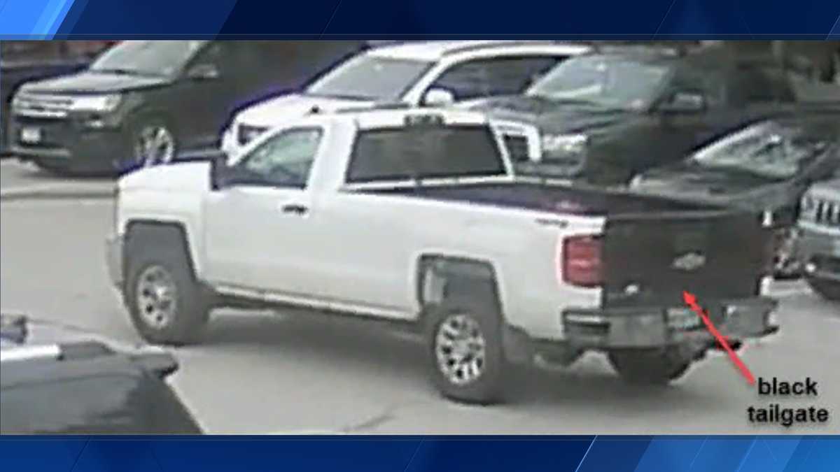 Police need help identifying suspect in animal cruelty incident