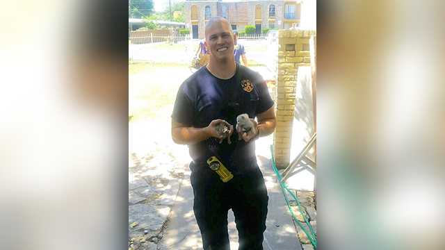 'Superhero' firefighter saves a week's worth of animals