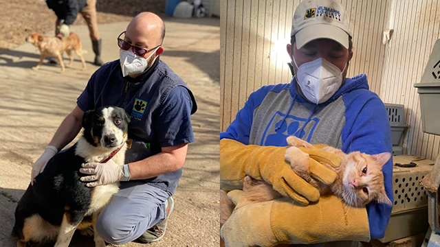Humane Society of Tulsa rescues 131 animals from home