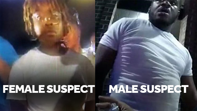 Police: Annapolis officers assaulted during arrest at party
