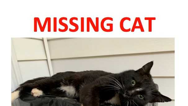Lost and Found Pets in the WXII 12 Community