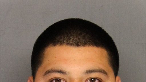 Faces of 23 alleged Stockton gang members