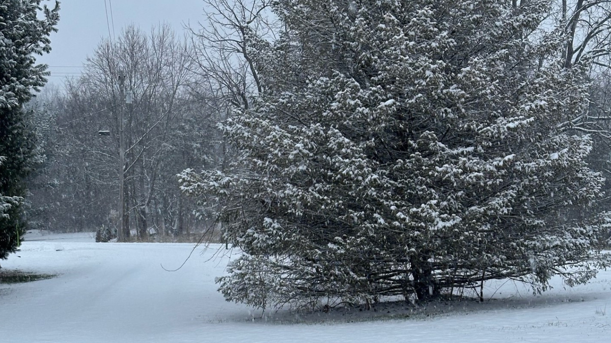 PHOTOS: Areas around Cincinnati see light snowfall Saturday