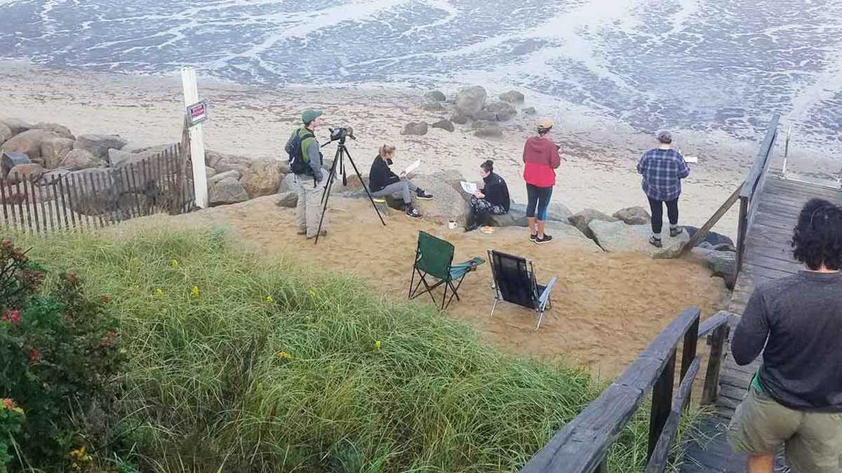 What does it mean to be the only NAAEE in Northeast?