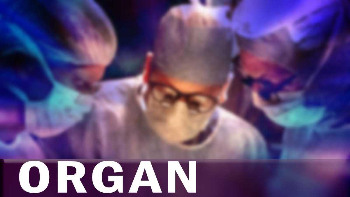 US organ transplants increased nearly 20% in five years