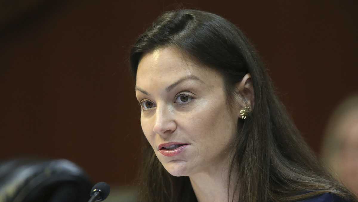 Fried chosen as new chair of Florida Democratic party