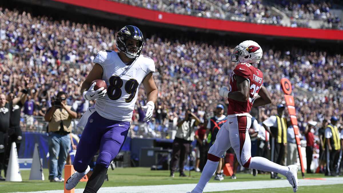 Baltimore Ravens' 2019 season in photos