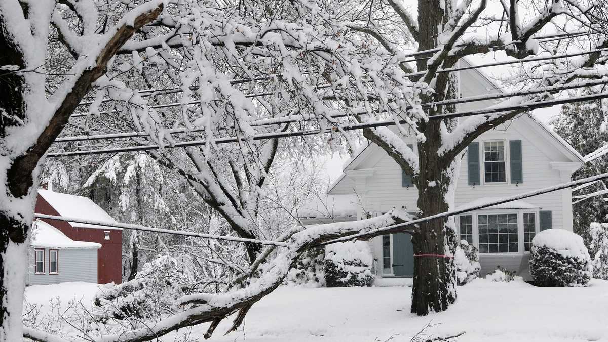 Wet, heavy snow tears down wires, trees