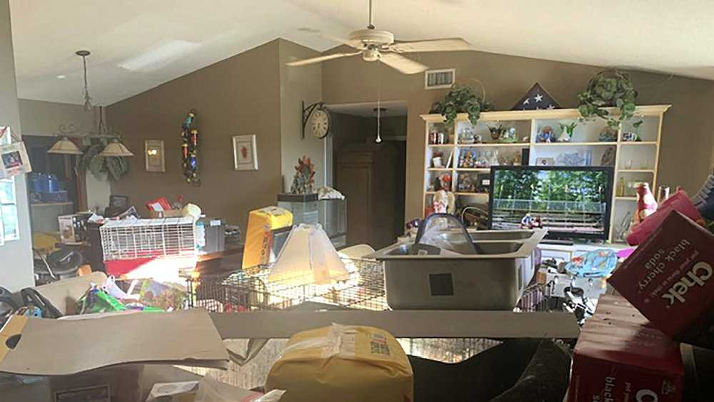 Police remove 3 kids, 245 animals from ‘deplorable’ home in Florida