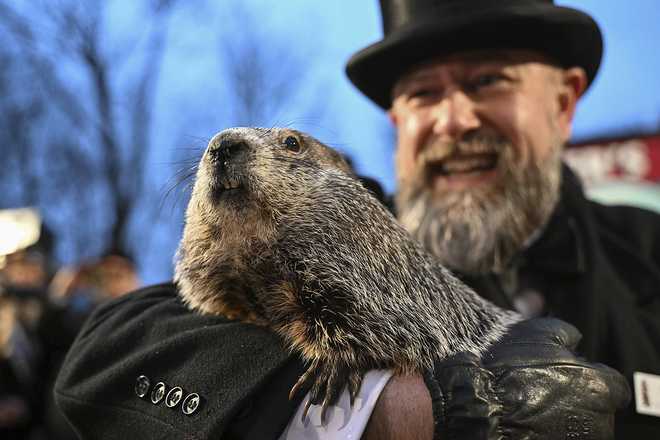 Groundhog Day 2026 Guide
